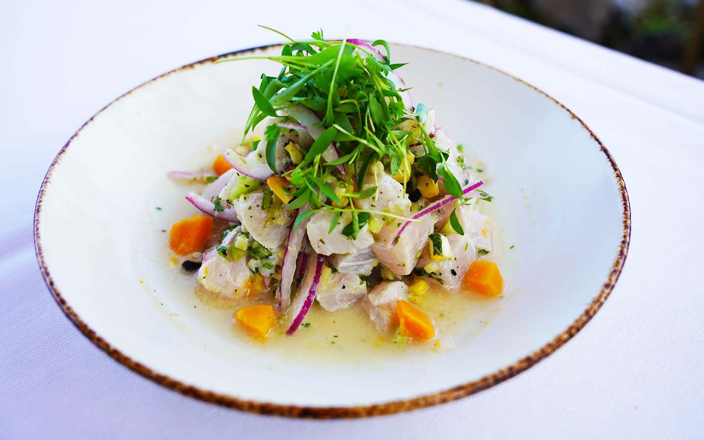 NOMA Beach at Redfish | Greater Miami & Miami Beach