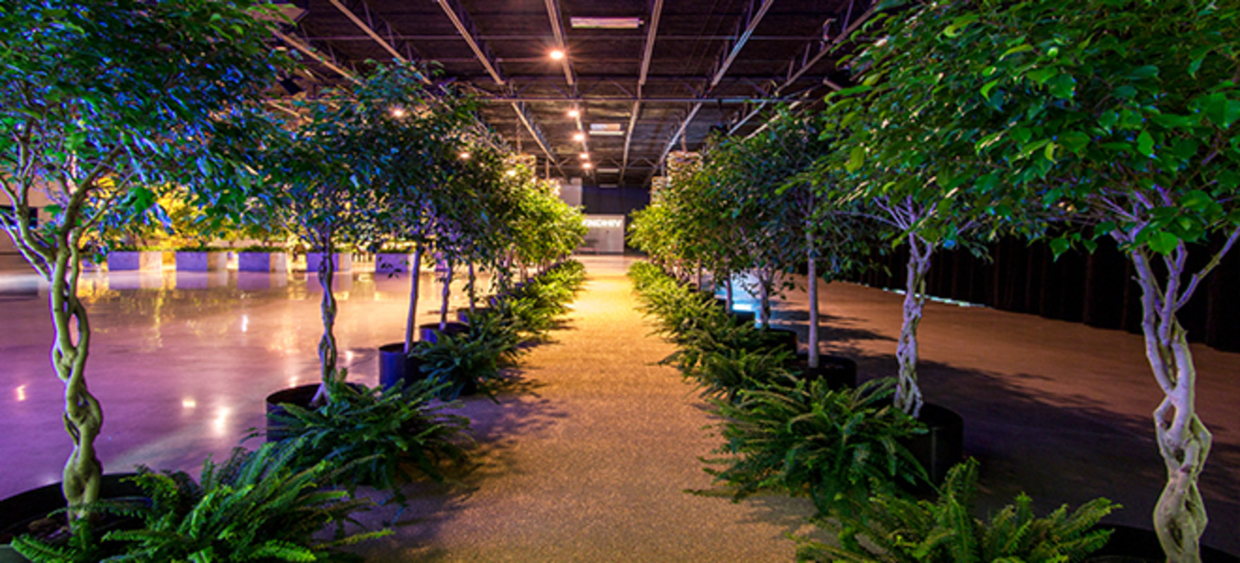 The Geraghty | Choose Chicago