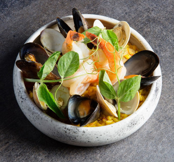 Chicago's North Shore CVB - Welcome - Aboyer