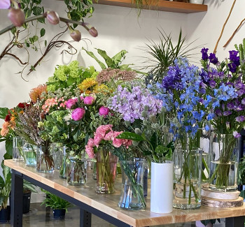 Chicago's North Shore CVB - Welcome - Botanik Culture