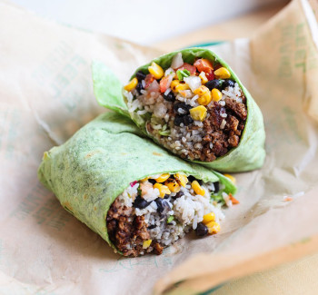 Chicago's North Shore CVB - Welcome - elephant + vine