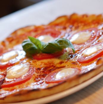 Chicago's North Shore CVB - Welcome - Larsa's Mediterranean