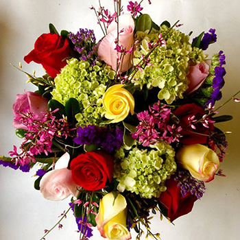 Chicago's North Shore CVB - Welcome - Saville Flowers