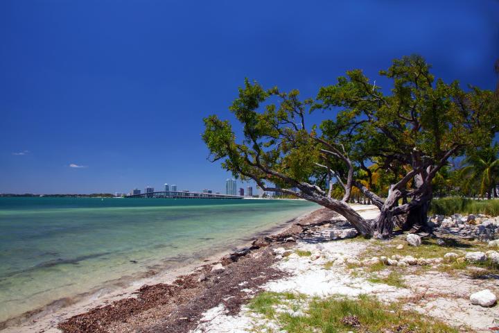 Explore About Key Biscayne