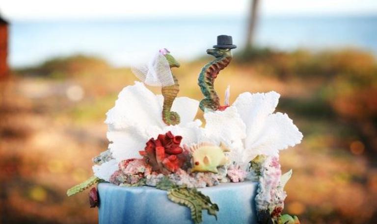 All About Key Biscayne