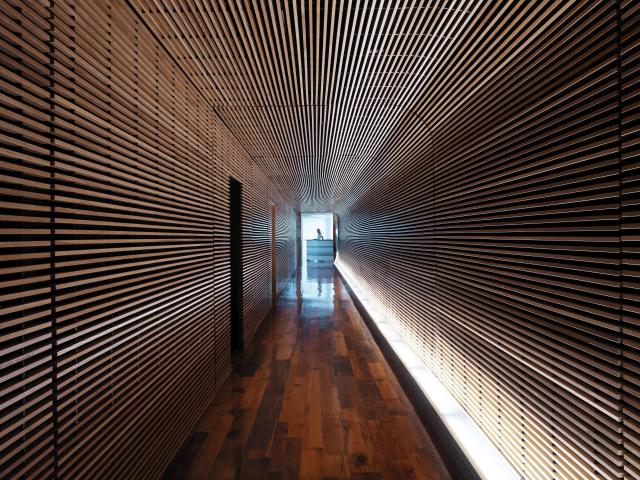 Explorer le milieu Beach