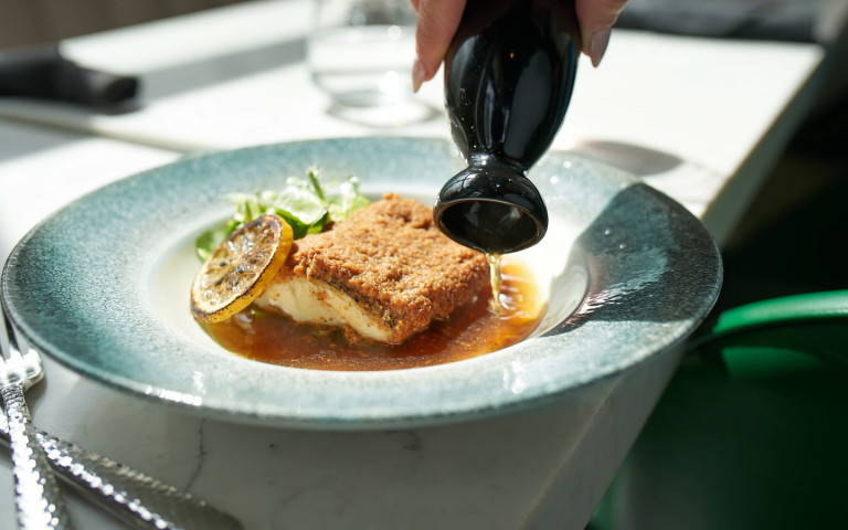 Miami's Great Kayaking and Canoeing