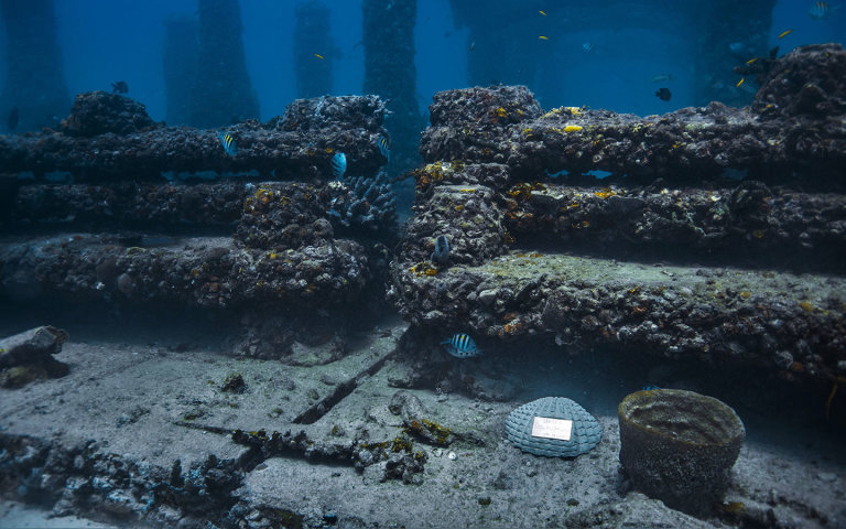 Explore Beautiful Key Biscayne Beaches