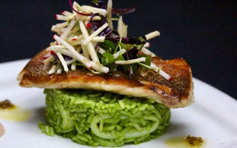 Spas and Wellness in Miami