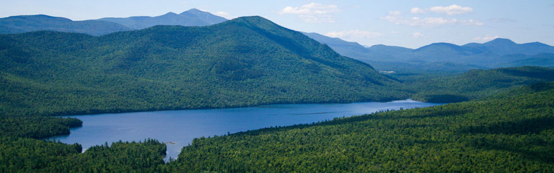 Birding - Bird Watching on the Adirondack Coast, Lake Champlain ...