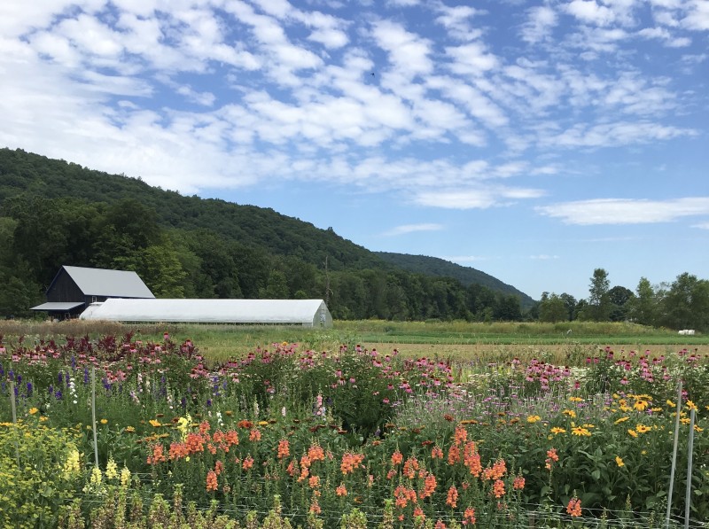 Amenia Farms | Maitri Farm | Dutchess CountyFarms | Hudson Valley Farms