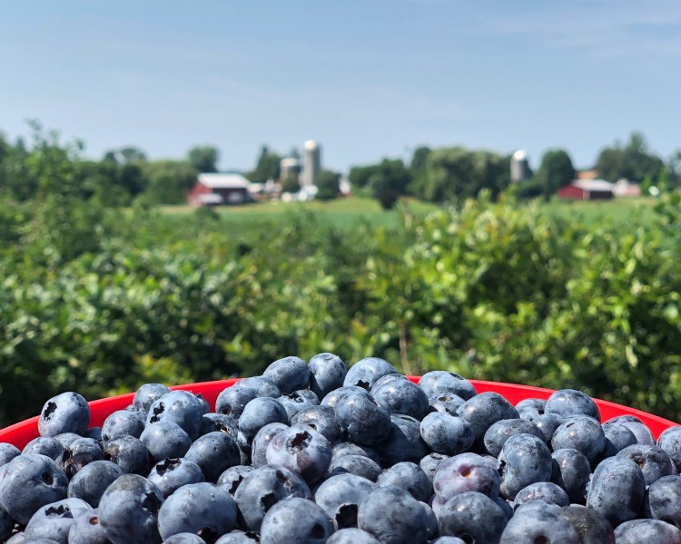 Red Hook Farms | Greig Farm | Dutchess CountyFarms | Hudson Valley Farms