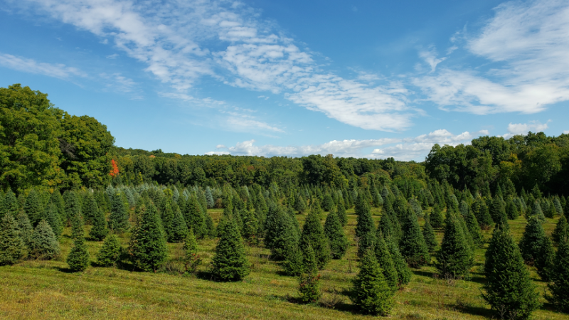 Rhinebeck Farms | Wonderland Farm | Dutchess CountyFarms | Hudson ...