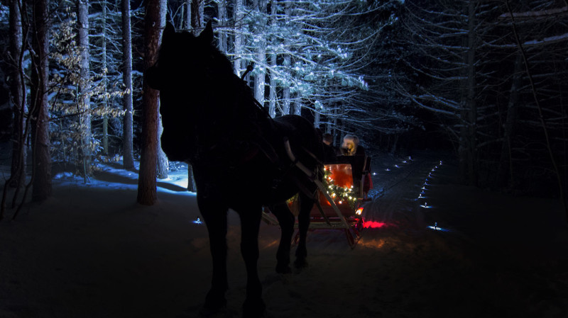 Back of Beyond Equine Centre - Discover Muskoka: Plan Your Trip