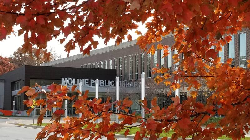 Moline Public Library | Visit Quad Cities