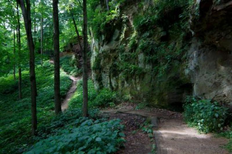 Wildcat Den State Park | Visit Quad Cities