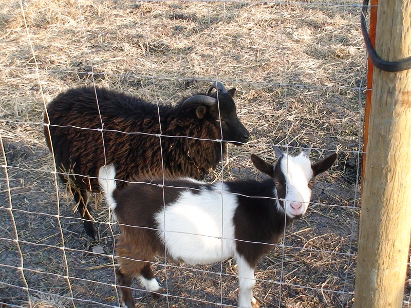 Family Fun | Tourism Winnipeg