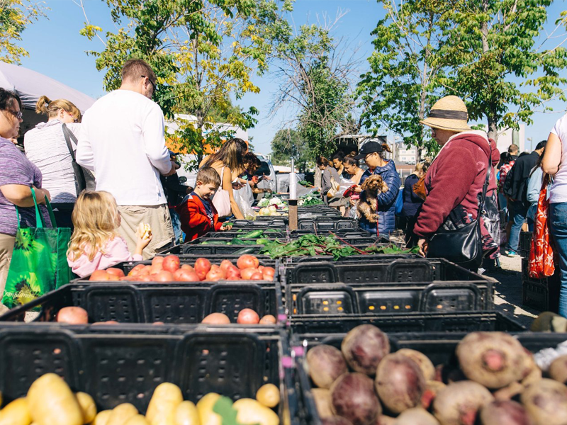 Free Activities | Tourism Winnipeg