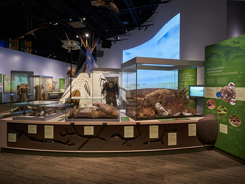 Attractions | Tourism Winnipeg