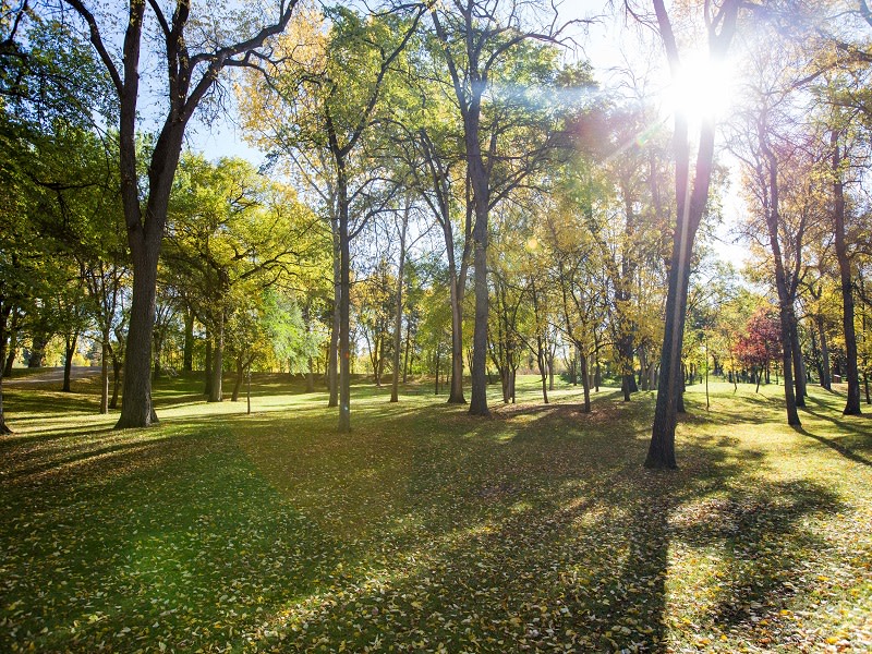 Attractions | Tourism Winnipeg