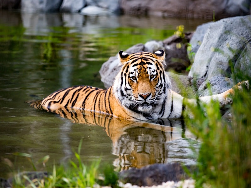 Family Fun | Tourism Winnipeg