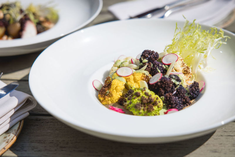 NoMI | Choose Chicago