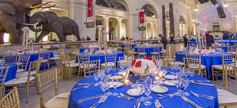 KEHOE DESIGNS | Choose Chicago