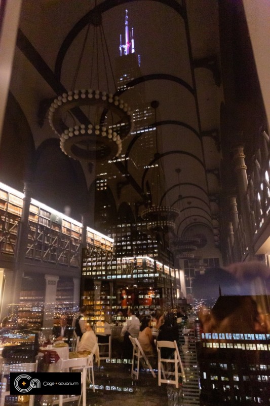 The Library and Stacks | Choose Chicago