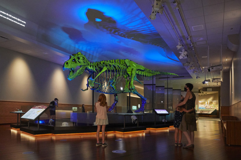 The Field Museum | Choose Chicago