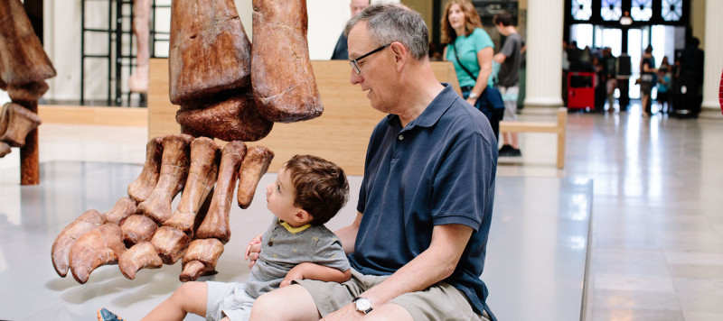 The Field Museum | Choose Chicago