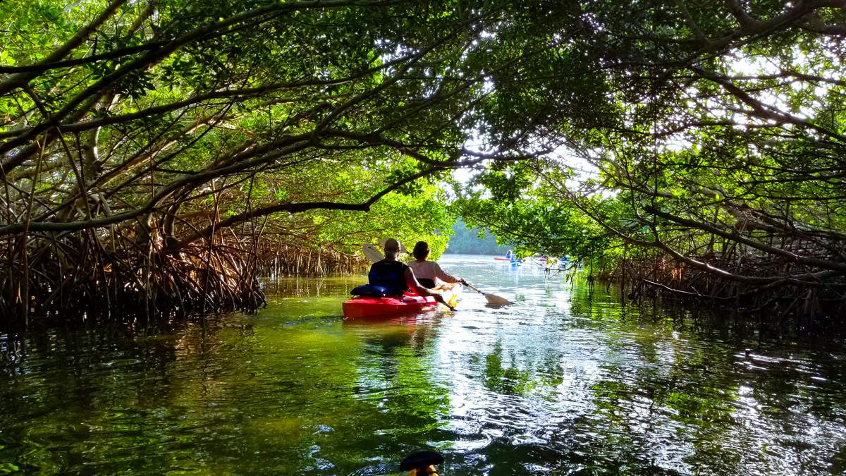 Island Kayak Tours in Tierra Verde | VISIT FLORIDA