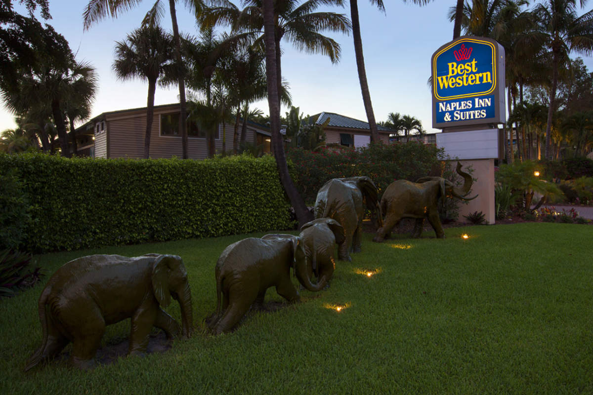 Best Western Naples Inn & Suites in Naples | VISIT FLORIDA