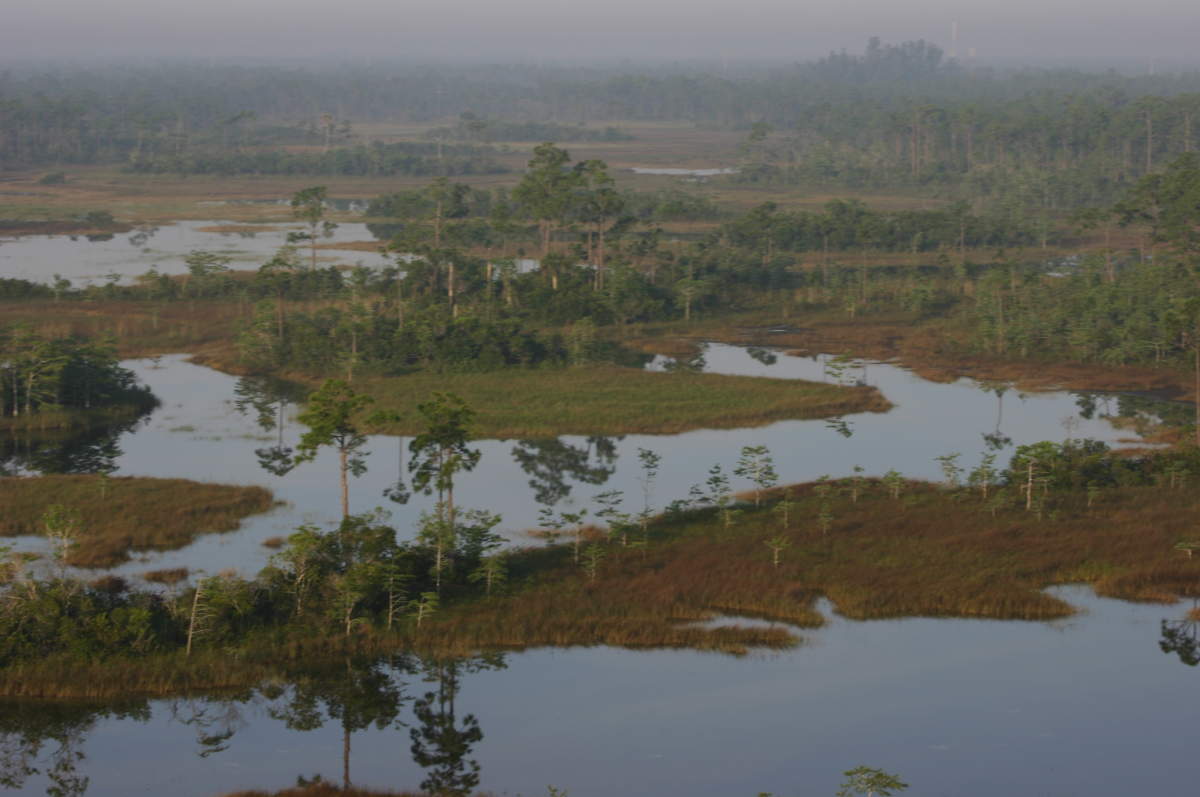 John C. and Mariana Jones/Hungryland Wildlife and Environmental Area in ...
