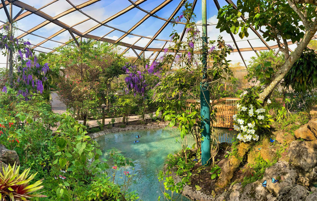 Butterfly World in Coconut Creek | VISIT FLORIDA