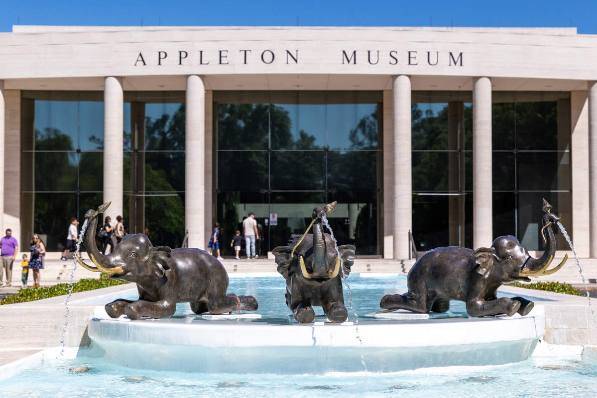 Appleton Museum of Art in Ocala | VISIT FLORIDA