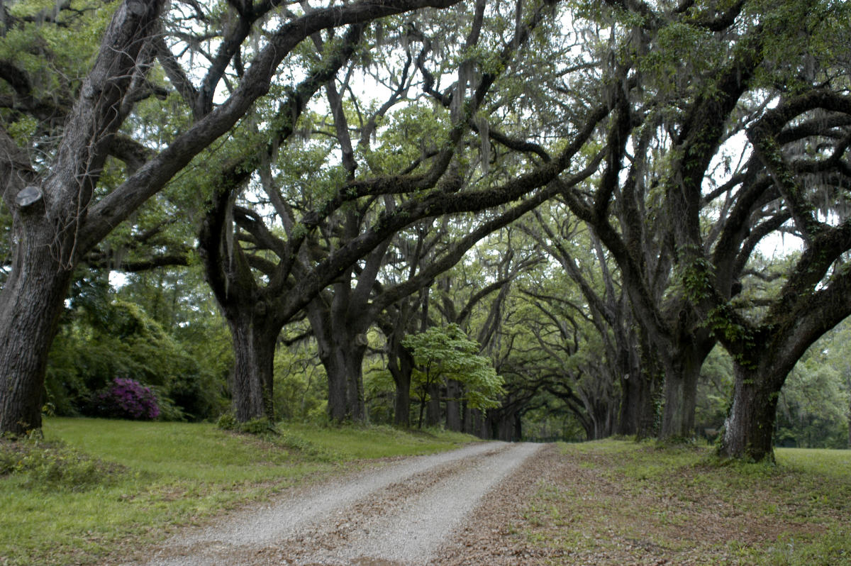 Jefferson County Tourist Development Council in Monticello | VISIT FLORIDA
