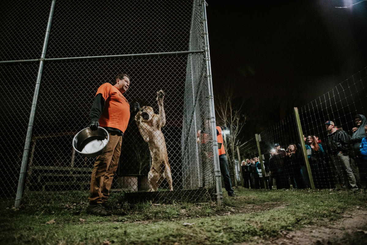 Catty Shack Ranch Wildlife Sanctuary in Jacksonville | VISIT FLORIDA