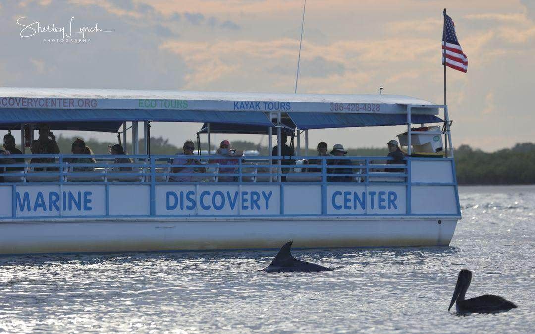 Marine Discovery Center in New Smyrna Beach | VISIT FLORIDA