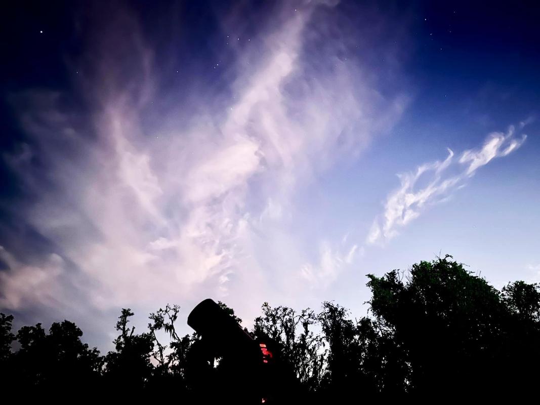 Starry Night Florida in Port Charlotte | VISIT FLORIDA