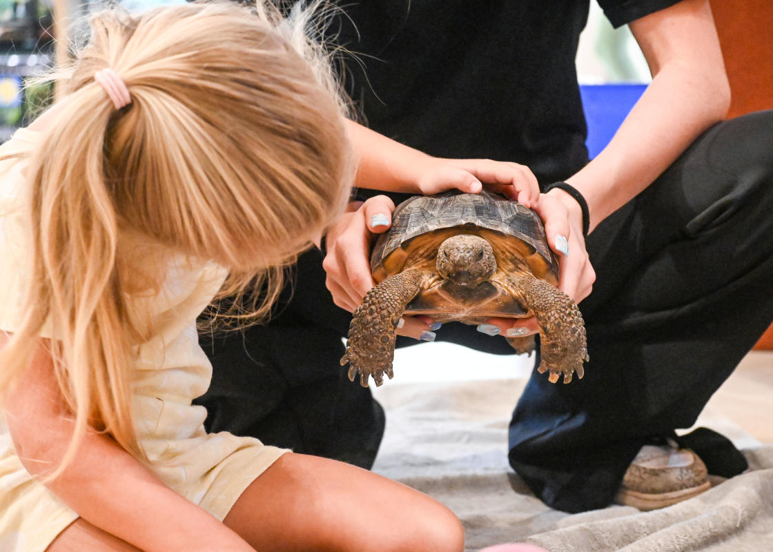 The Hobe Sound Nature Center, Inc. in Hobe Sound | VISIT FLORIDA