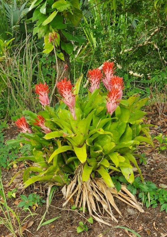 Upriver Campground RV Resort in Fort Myers | VISIT FLORIDA