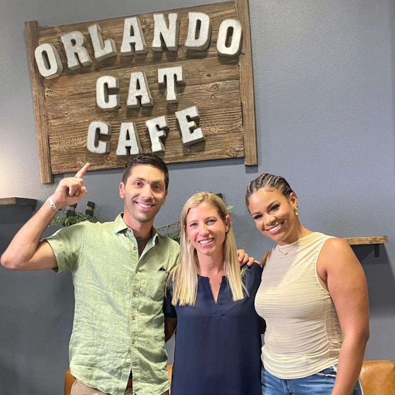 Orlando Cat Cafe in Clermont | VISIT FLORIDA