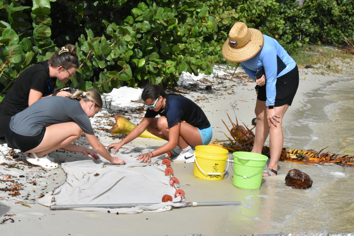 The Hobe Sound Nature Center, Inc. in Hobe Sound | VISIT FLORIDA