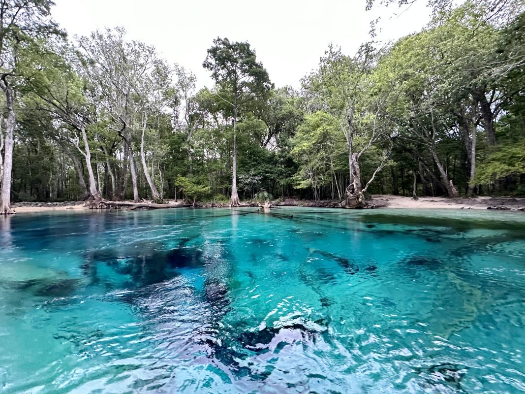 Holmes Creek Camping & RV Resort in Vernon | VISIT FLORIDA