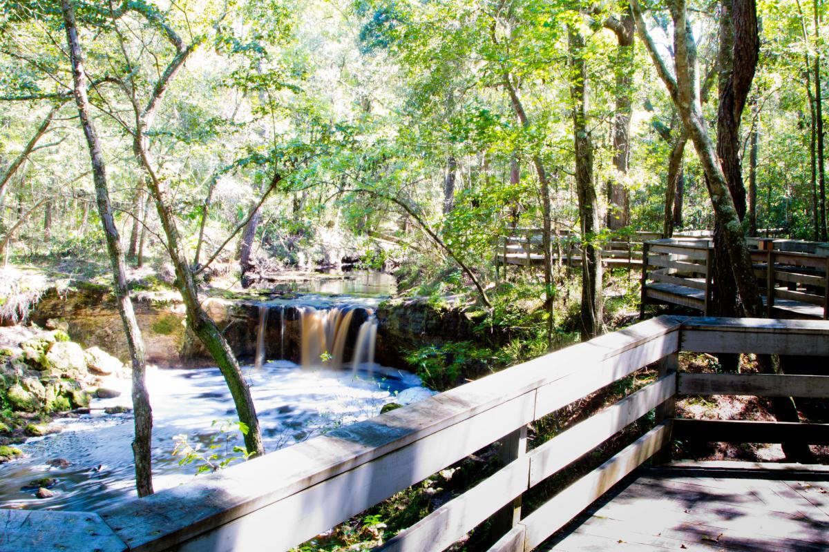 Lake City, Florida’s Springlands in Lake City | VISIT FLORIDA