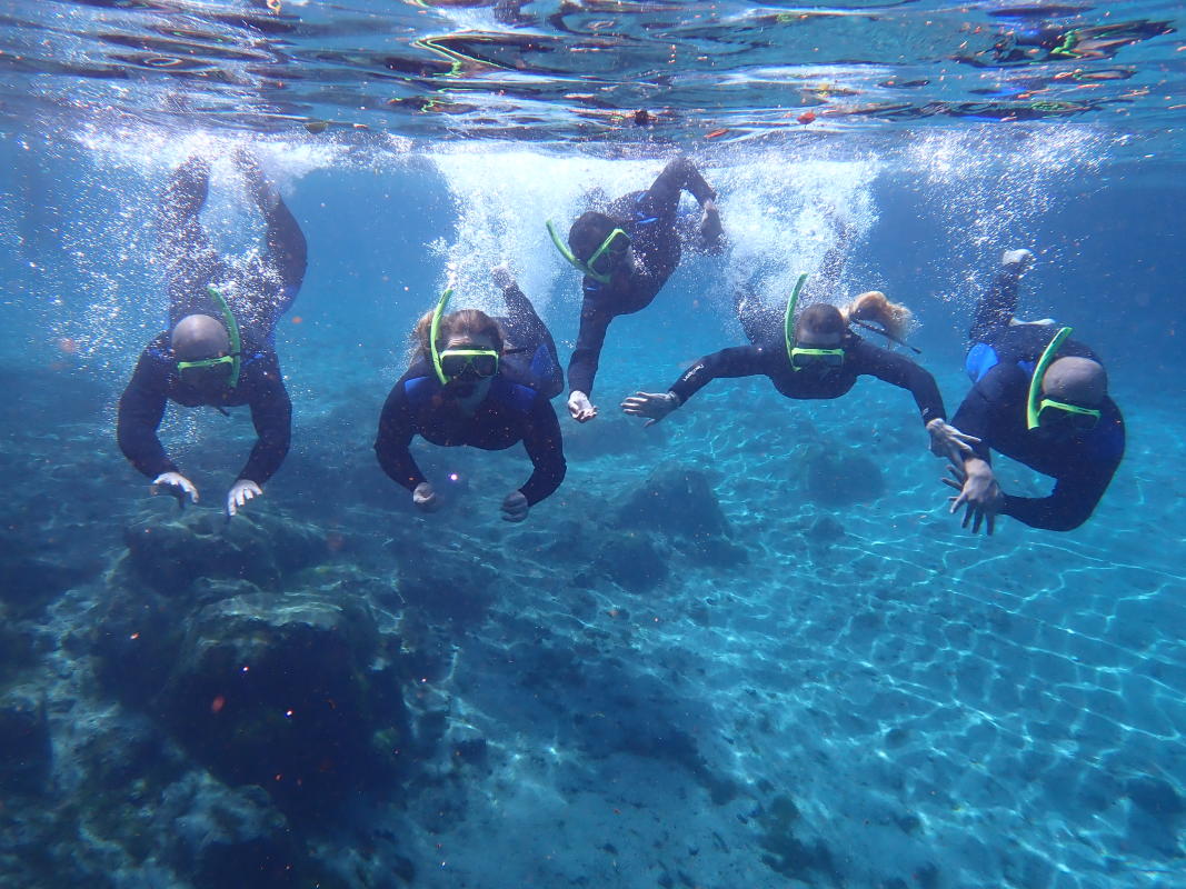 Explorida in Crystal river | VISIT FLORIDA