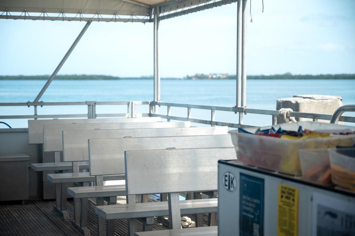 Hubbard's Marina - Island Ferry Trips in Madeira Beach | VISIT FLORIDA