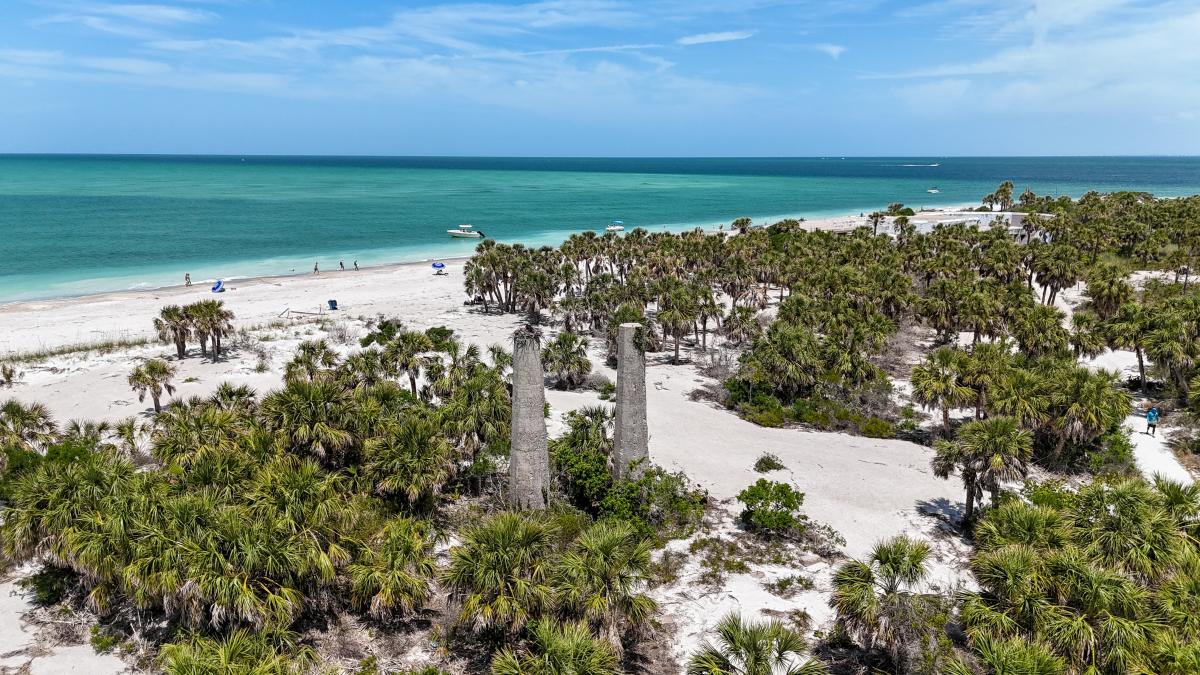 Hubbard's Marina - Island Ferry Trips in Madeira Beach | VISIT FLORIDA