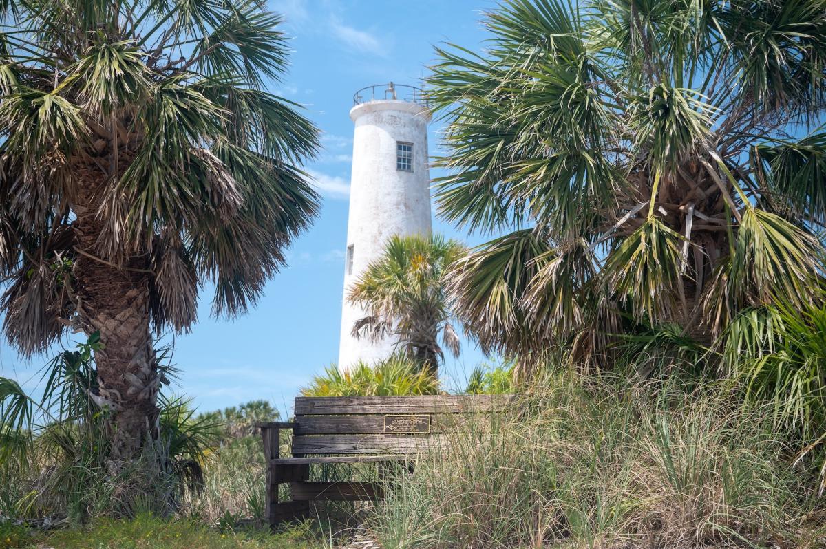 Hubbard's Marina - Island Ferry Trips in Madeira Beach | VISIT FLORIDA