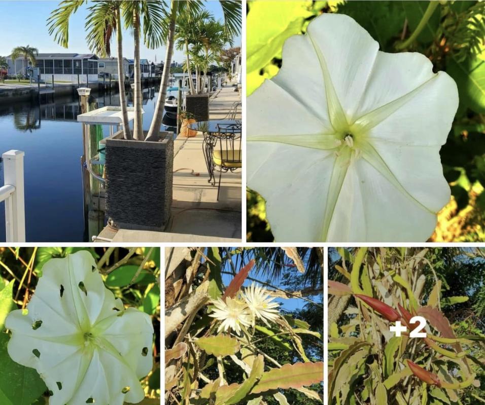 Upriver Campground RV Resort in Fort Myers | VISIT FLORIDA